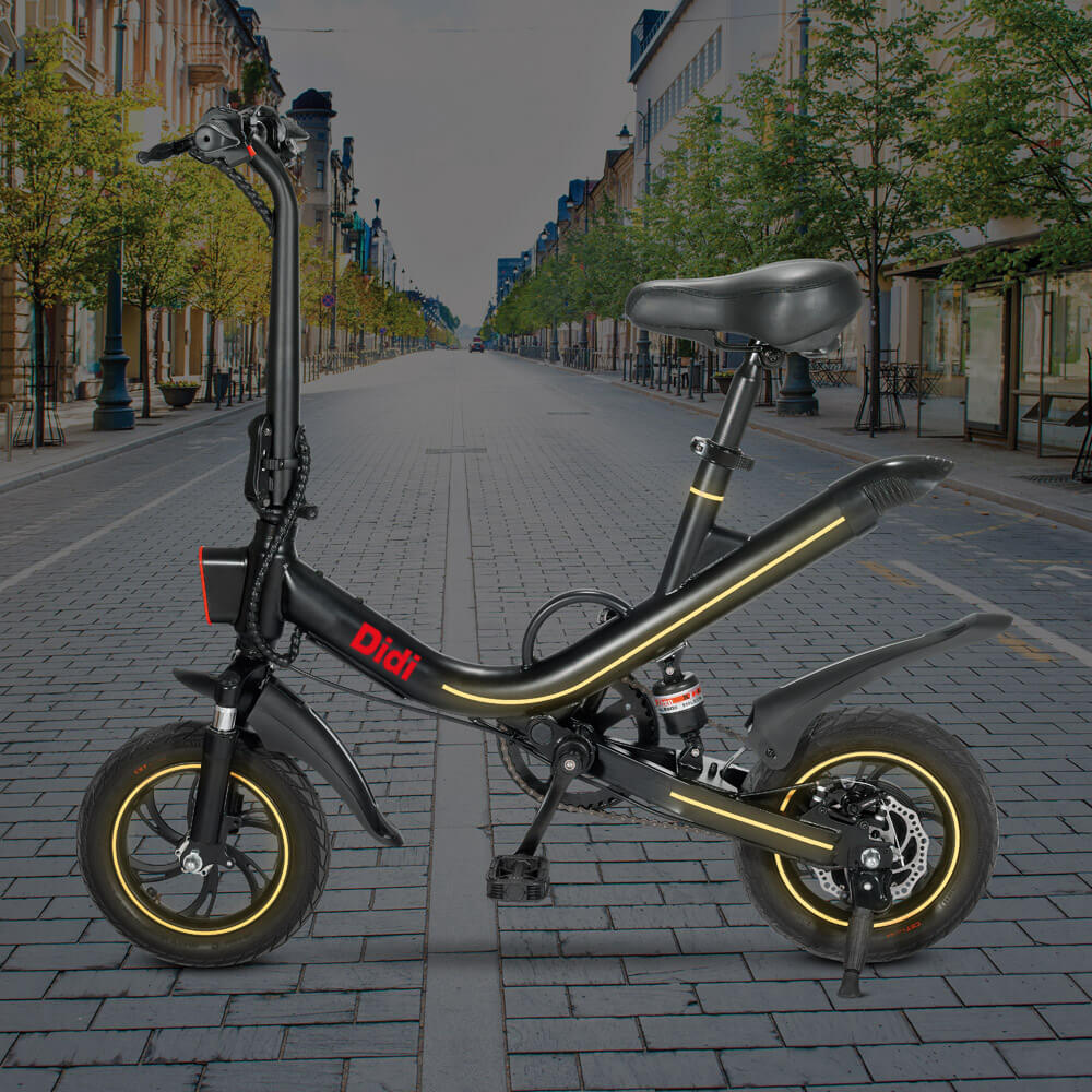 Didi Thurau Edition E Bike
